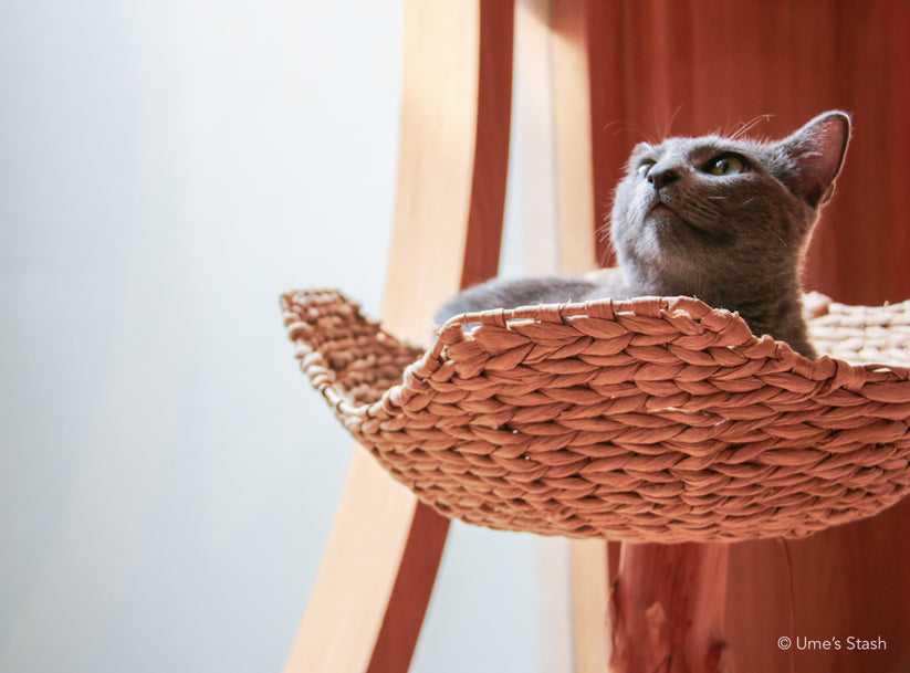 Solid Wood Spruce Cat Tree Ver. 2 - Upgraded, Natural and Modern – Ume ...