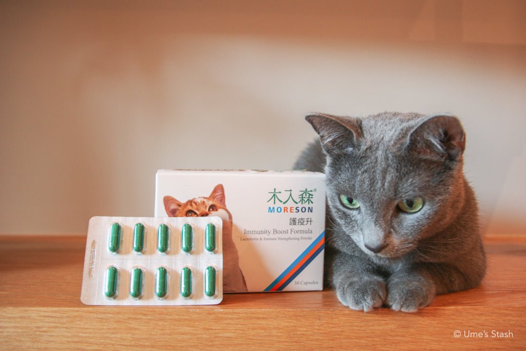 Cat Immunity Protection Boost Formula – Ume's Stash