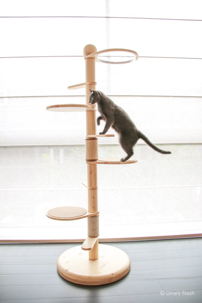 Premium Customizable Spiral Cat Tree: Add-on options available – Ume's ...