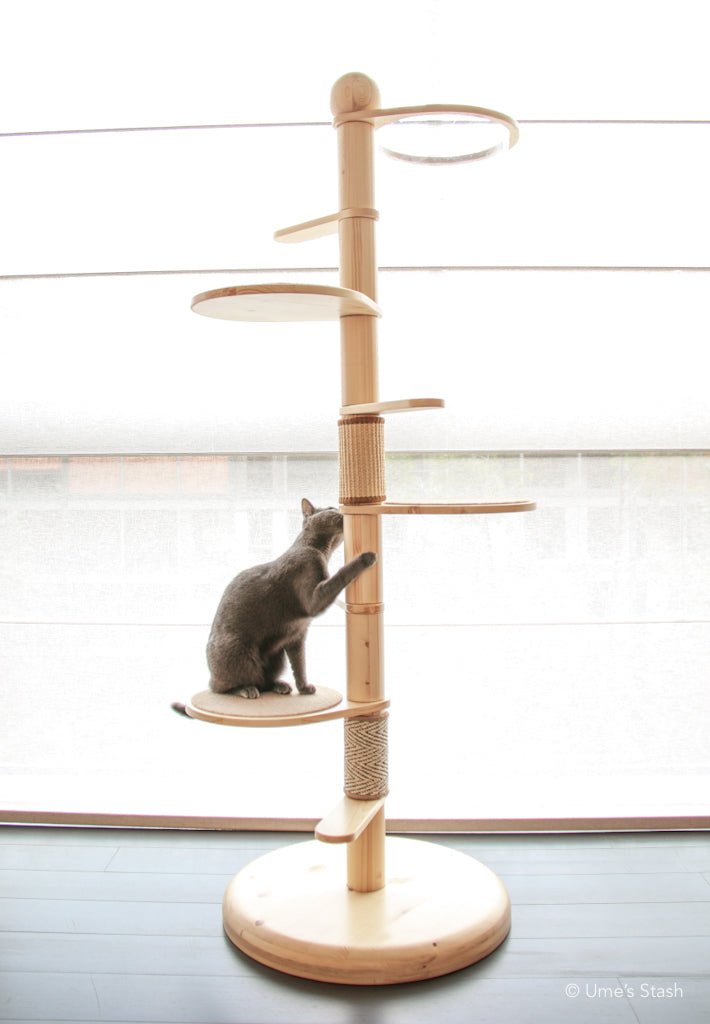Premium Customizable Spiral Cat Tree: Add-on options available – Ume's ...