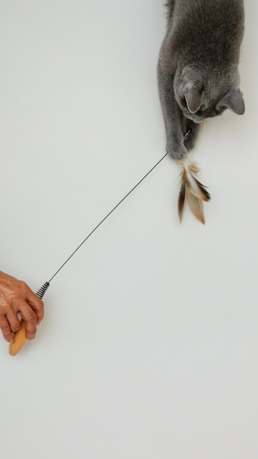 Cat Teaser Wands and Attachments – Ume's Stash