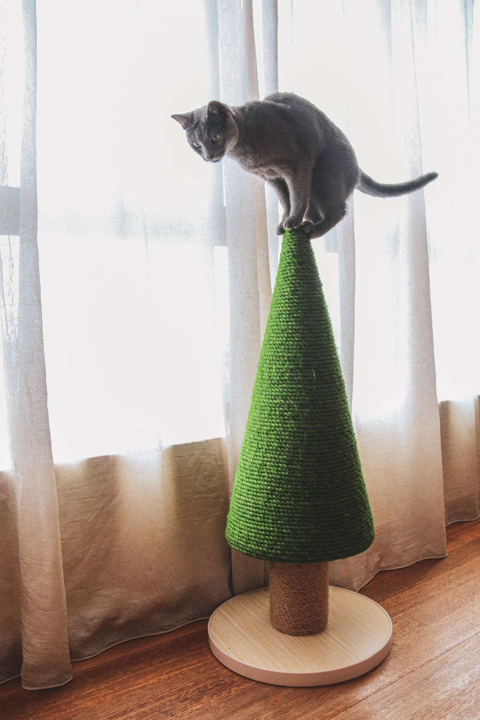 Elegant & Sturdy | Wide & Tall | Cedar Cat Scratching Post – Ume's Stash