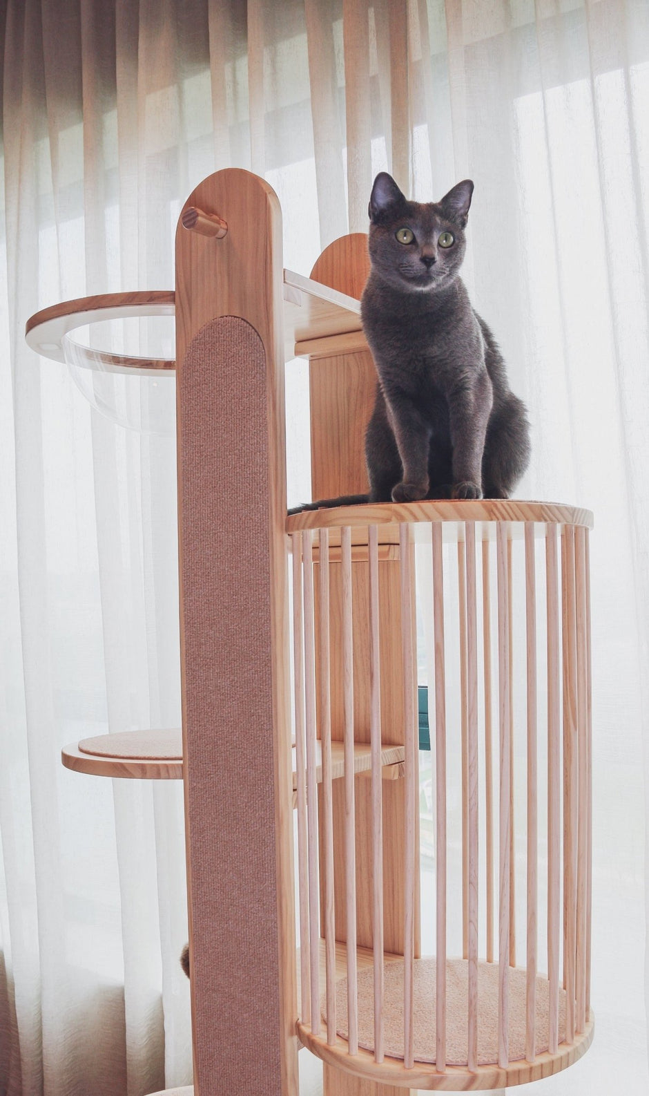 Trees and condos – Ume's Stash