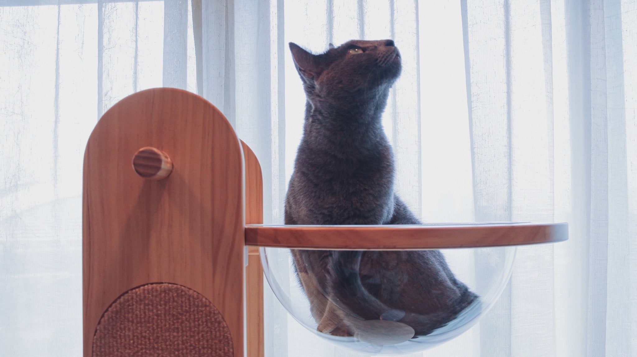 Modern Multi-Level Cypress Cat Tree: Tall, Sturdy & Stable – Ume's Stash