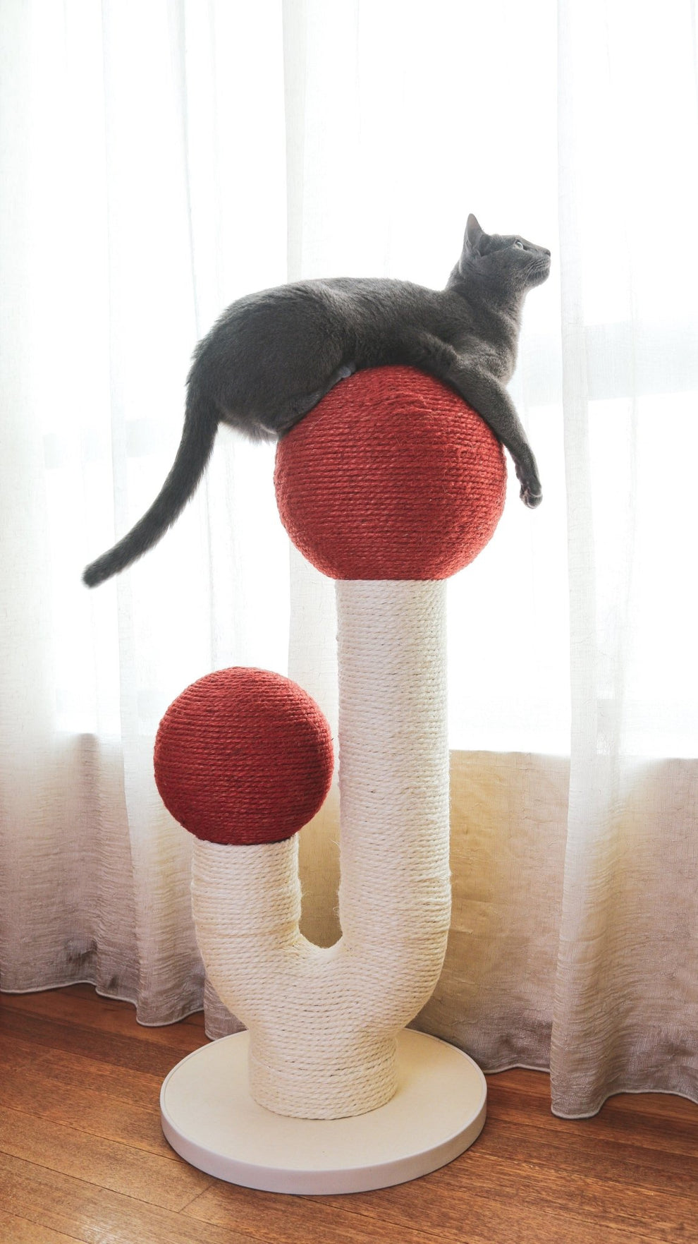 Contemporary, Stable & Fun Maple Scratching Post for Cats – Ume's Stash