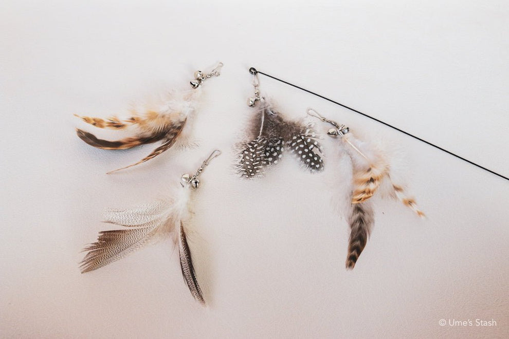 Phoenix feathers (cat teaser wand attachment) – Ume's Stash