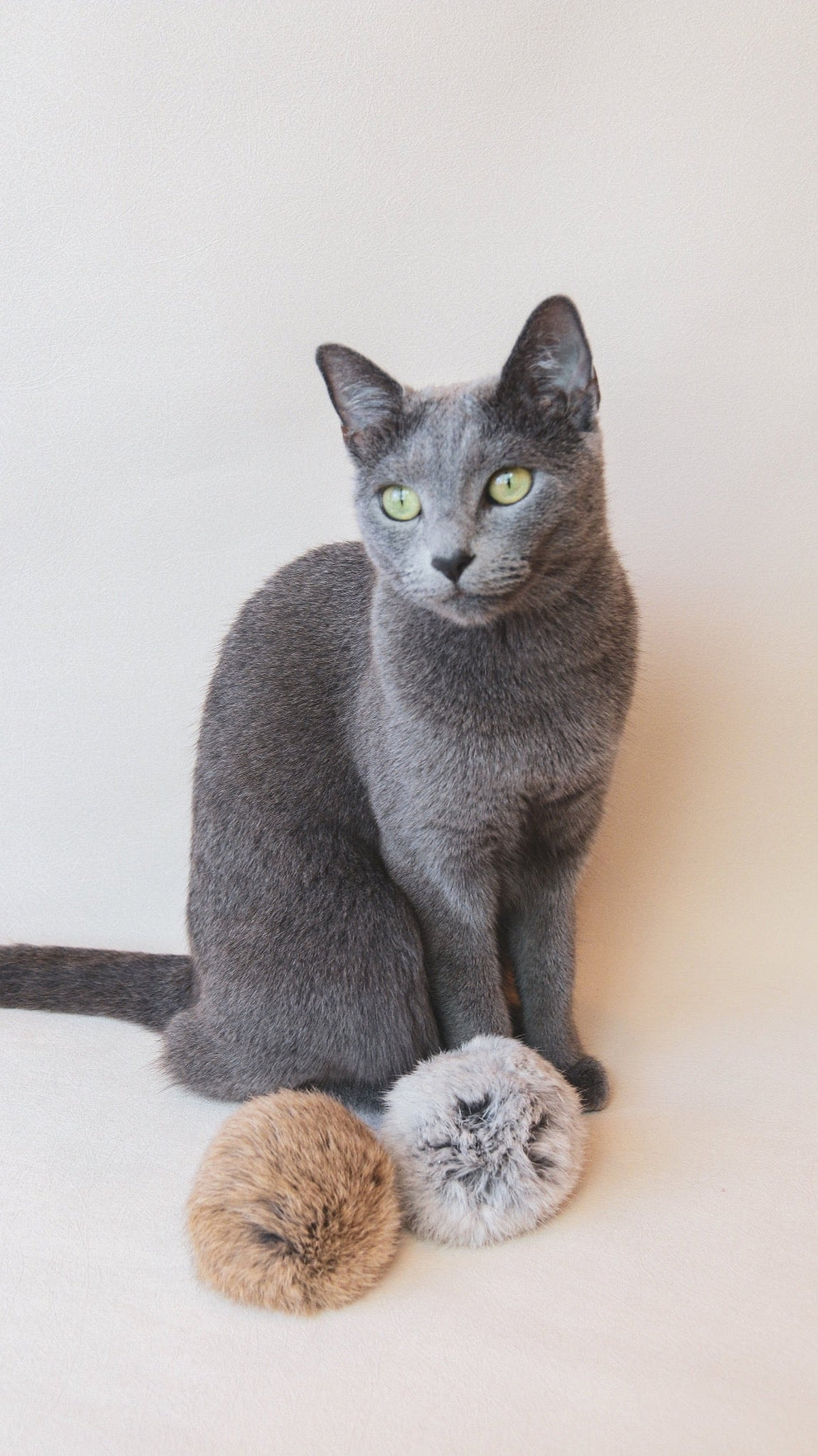 Rabbit Fur Soot Sprites Toy: Awaken Your Cats' Hunter Instincts – Ume's ...